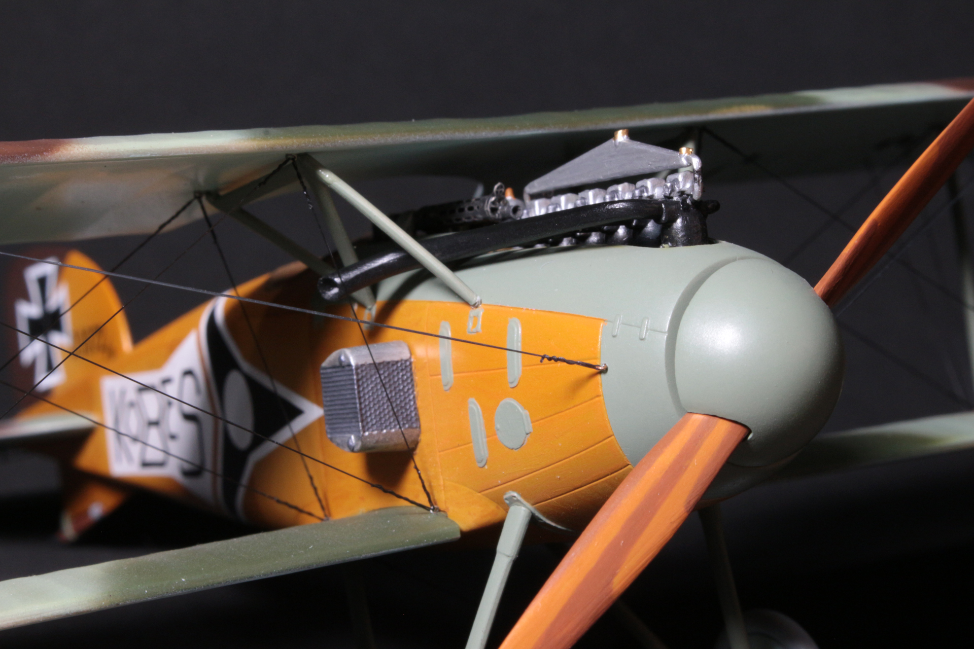 アルバトロス D.II